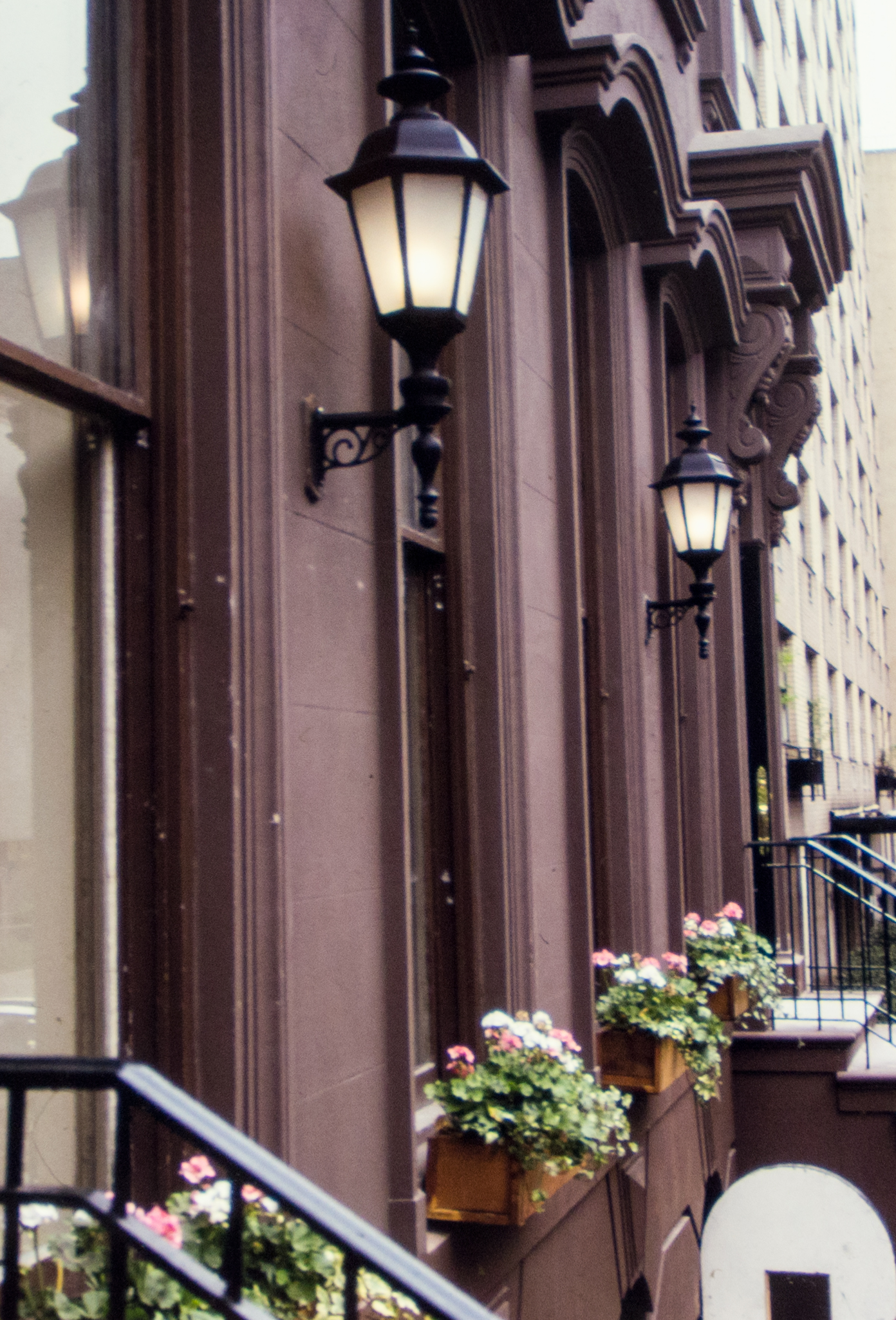 RUTHERFORD GARDENS – TRIARCH